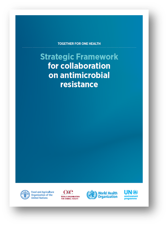 Strategic Framework for Collaboration on AMR