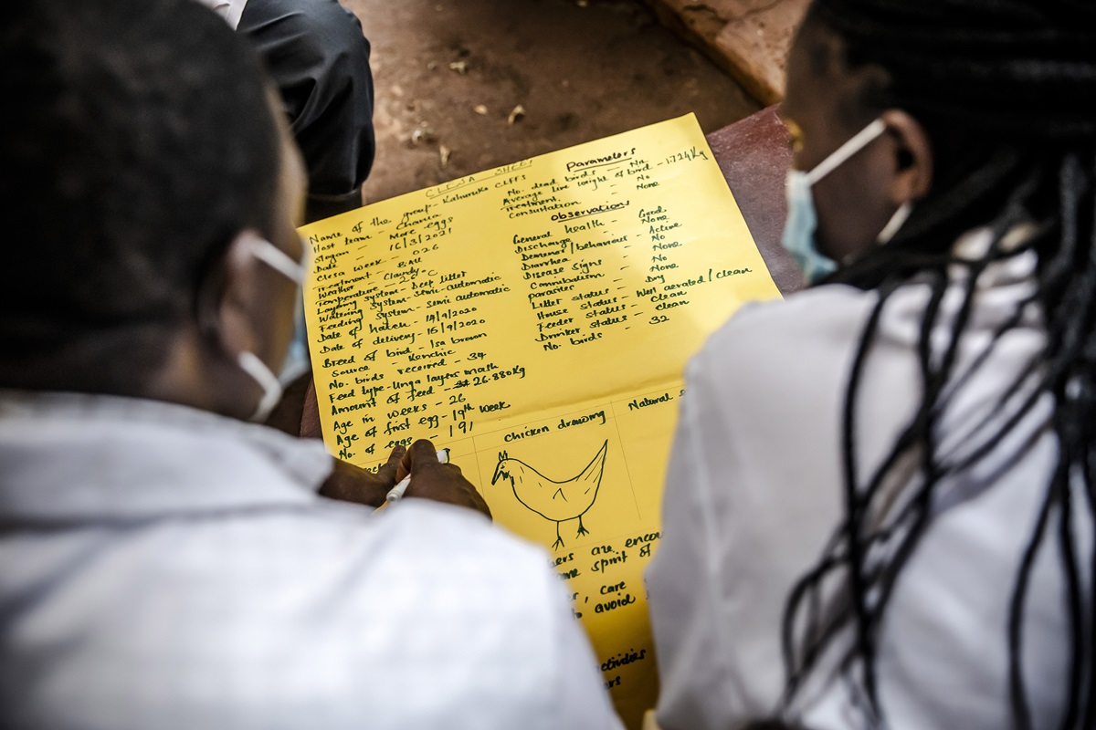 Using Social Science to Inform the Global Action Plan on AMR - Insights ...